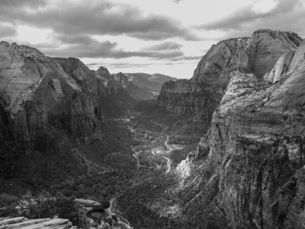 Client Associates Family Office | Simple