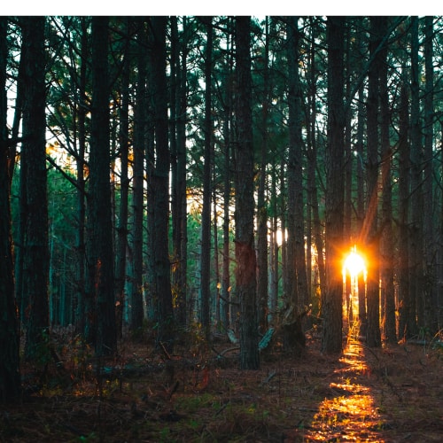 Family Capital and Governance: Beyond Rich Lists | Simple